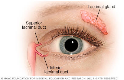 Eye Health Information - Fairmont - Mayo Clinic Health System